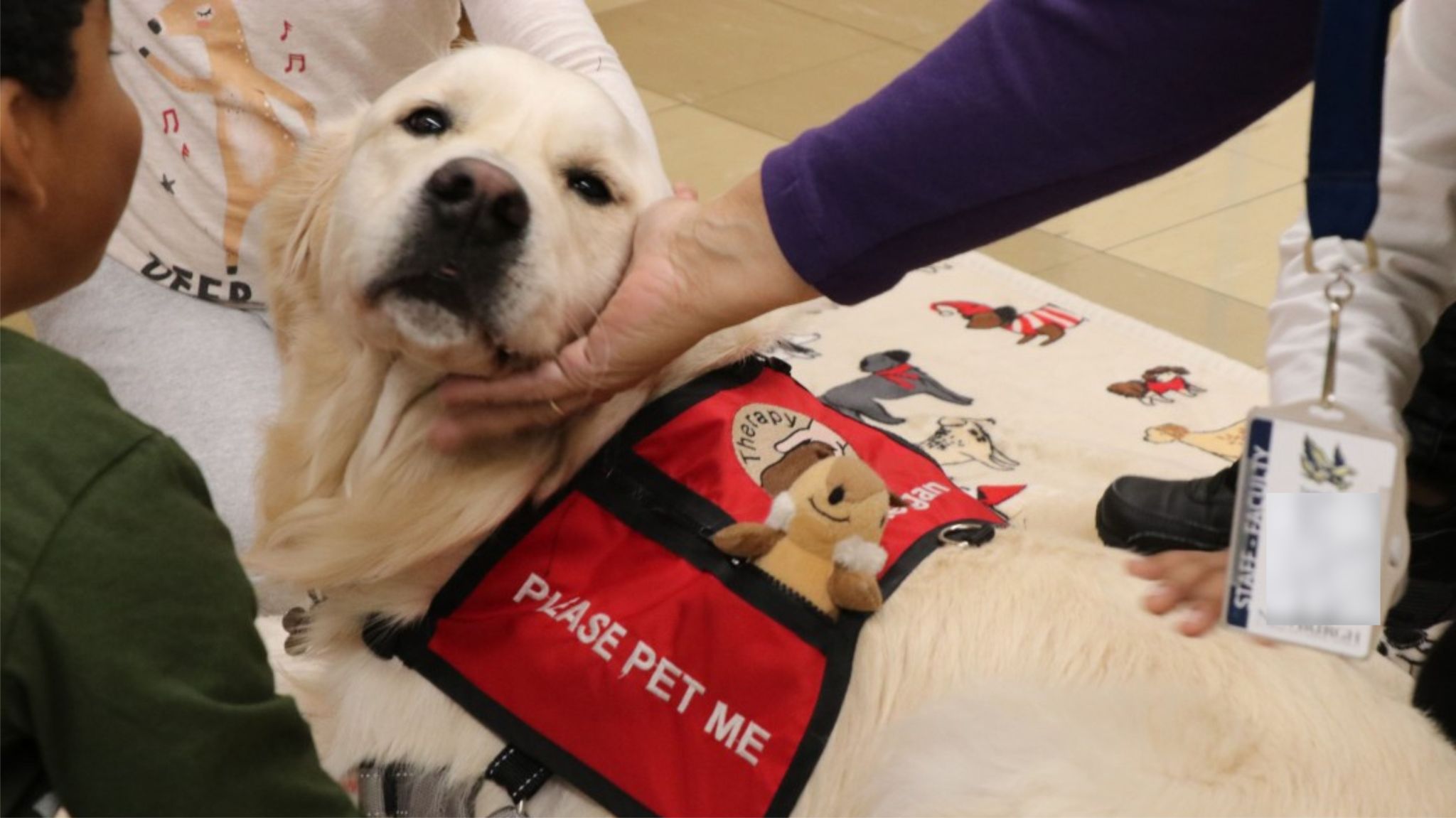 Therapy Dogs Visit Newburgh Schools | The Newburgh News, LLC