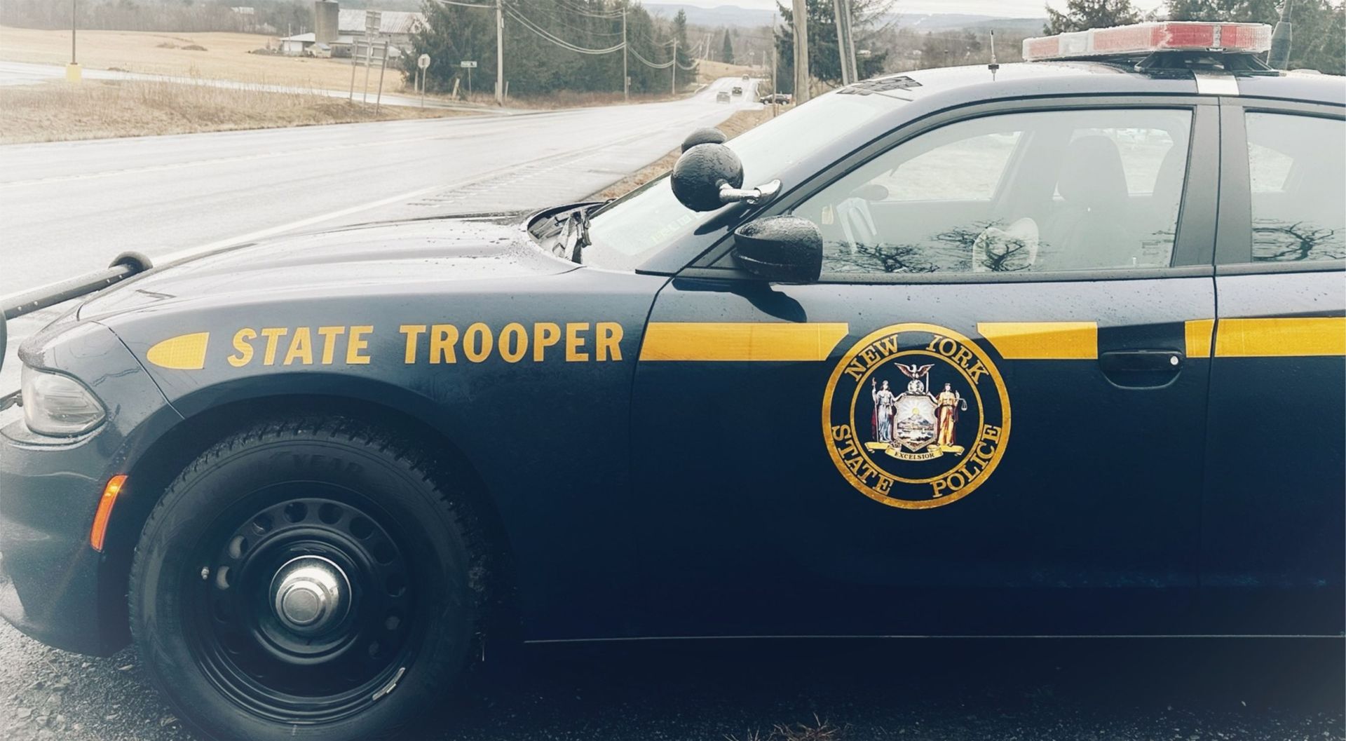 Lunatic Attempts to Strangle NY State Trooper in Greene County | The ...